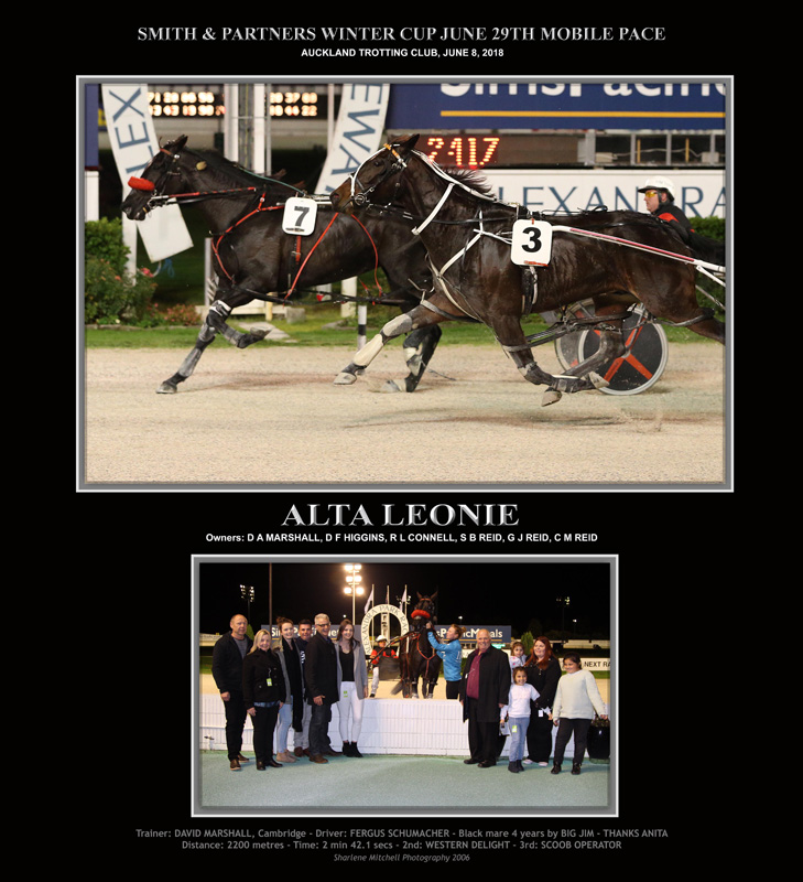 Products - NZ Harness Racing