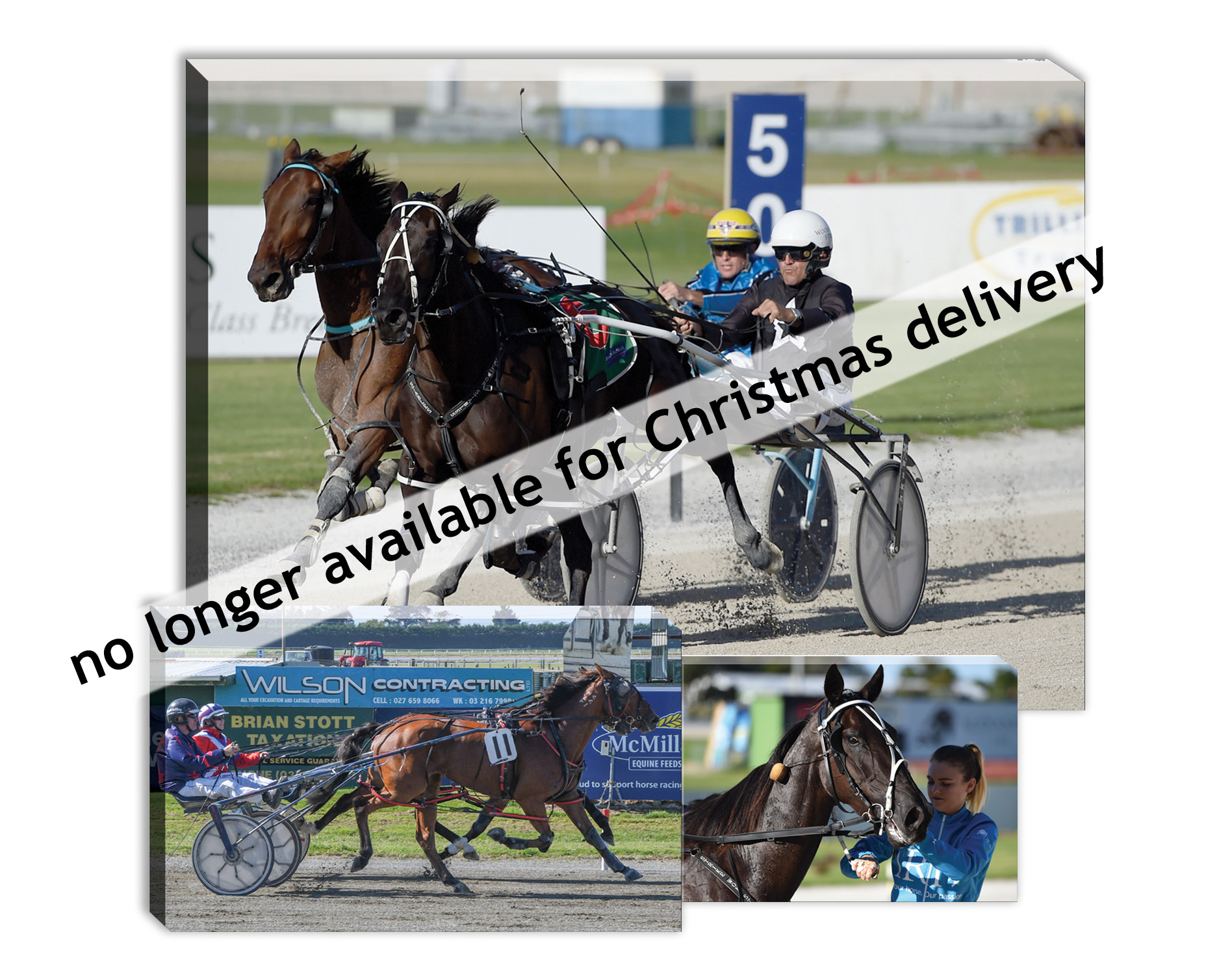 Products - NZ Harness Racing