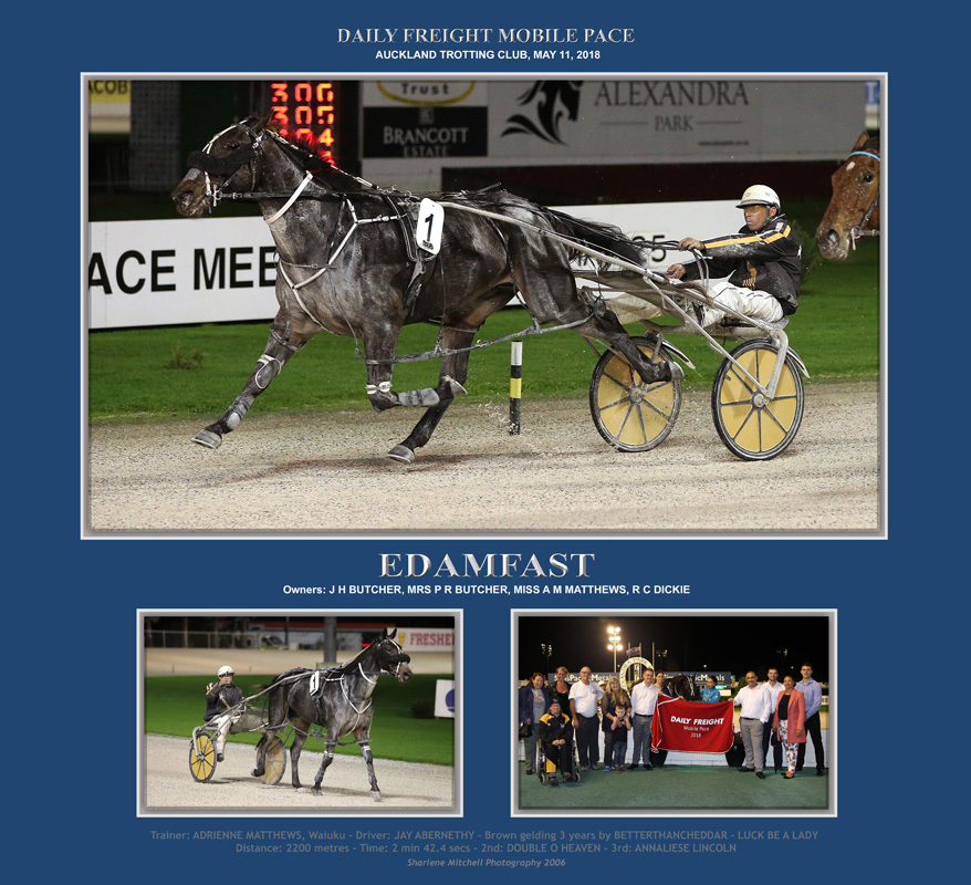 Products - NZ Harness Racing