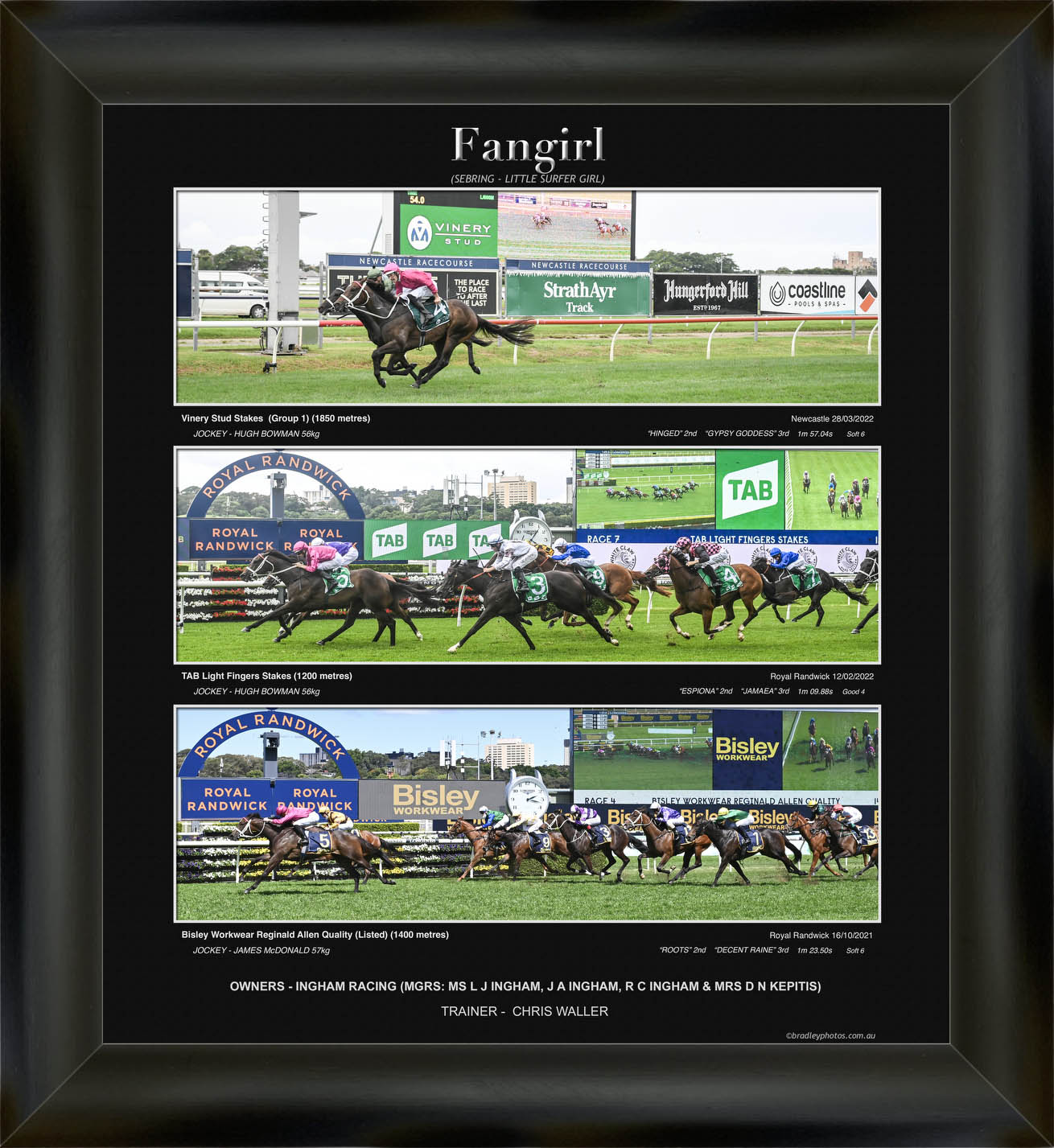 Products - Bradley Photos