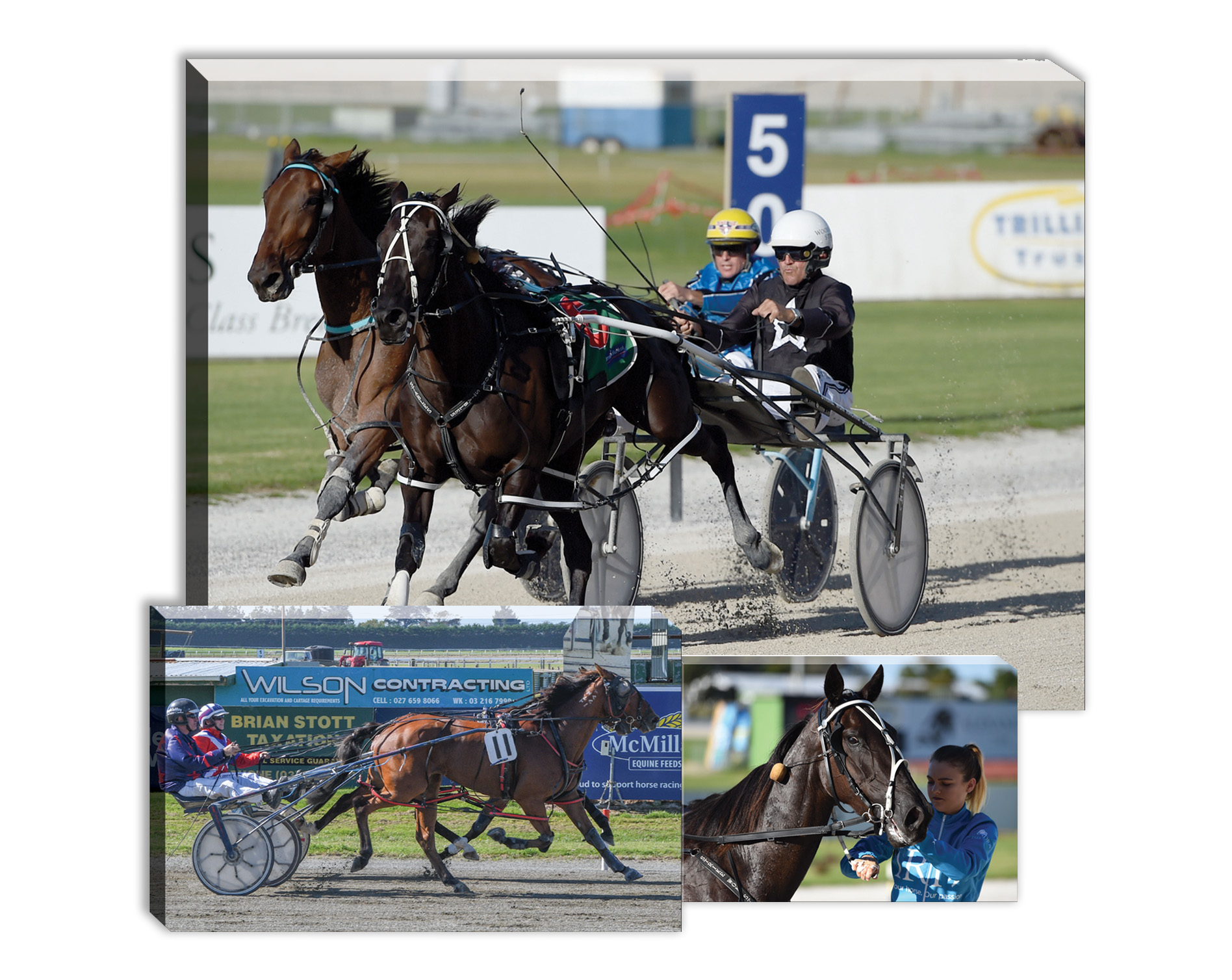 Products - NZ Harness Racing