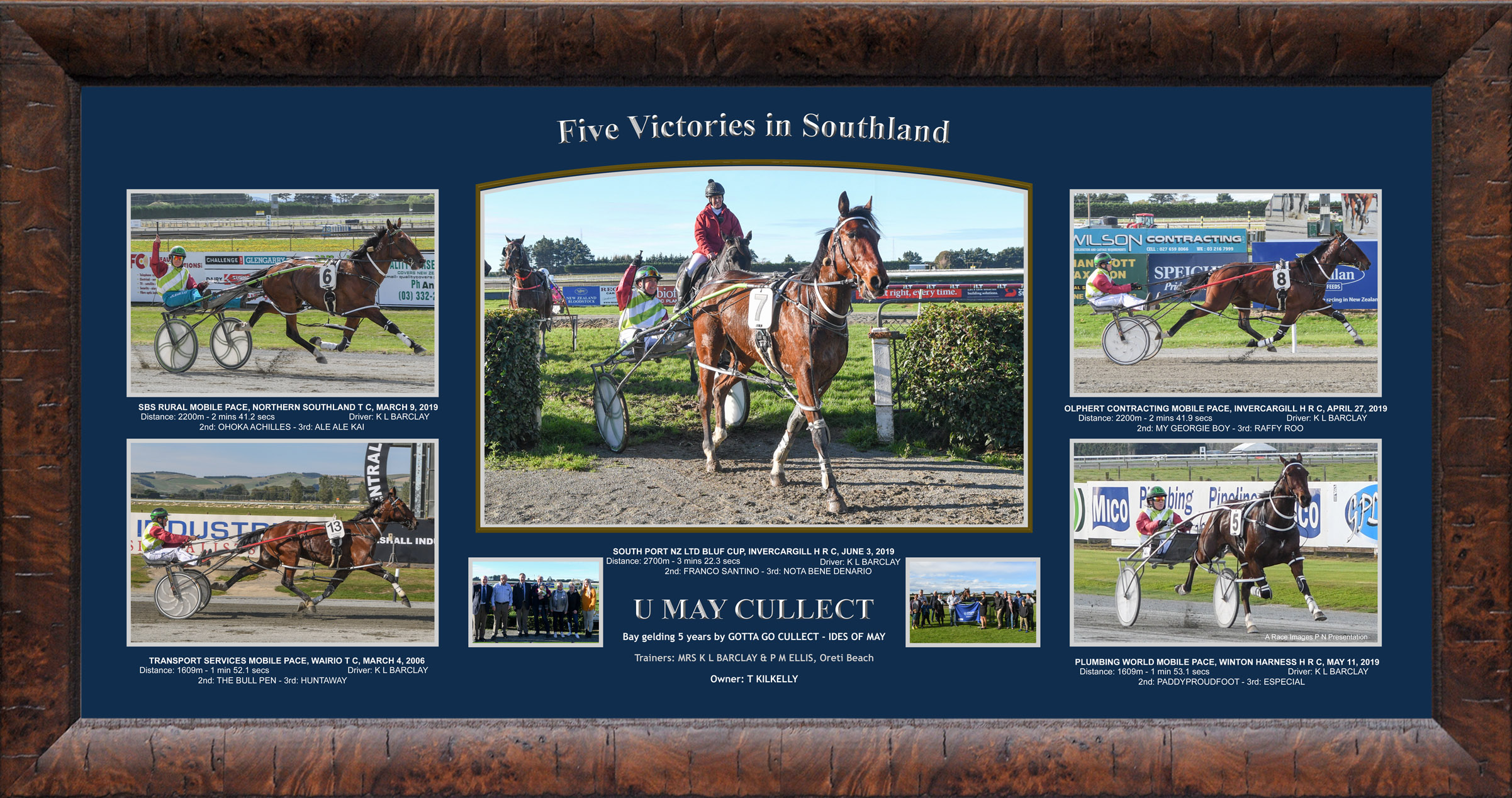 Products - NZ Harness Racing