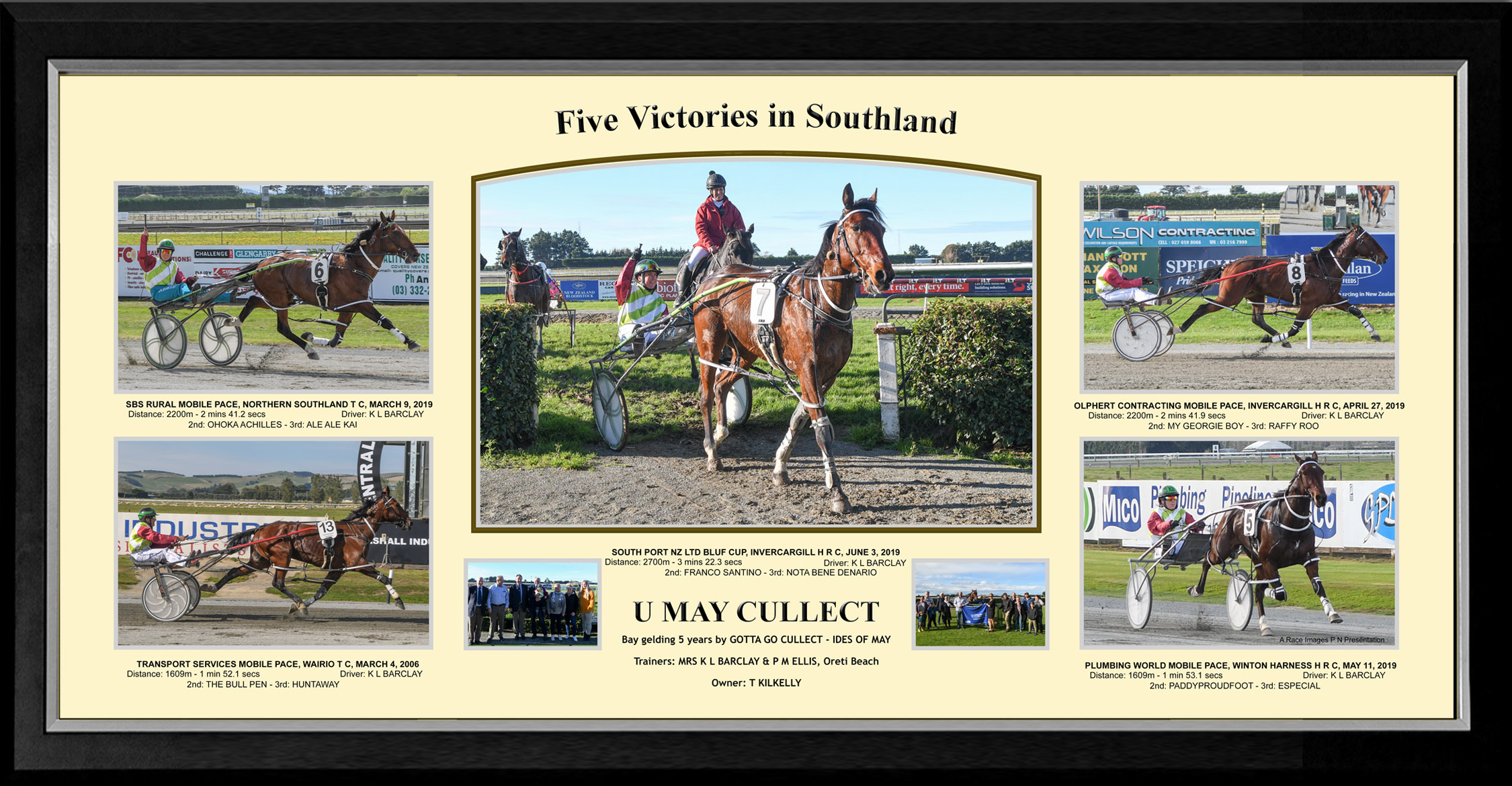 Products - NZ Harness Racing